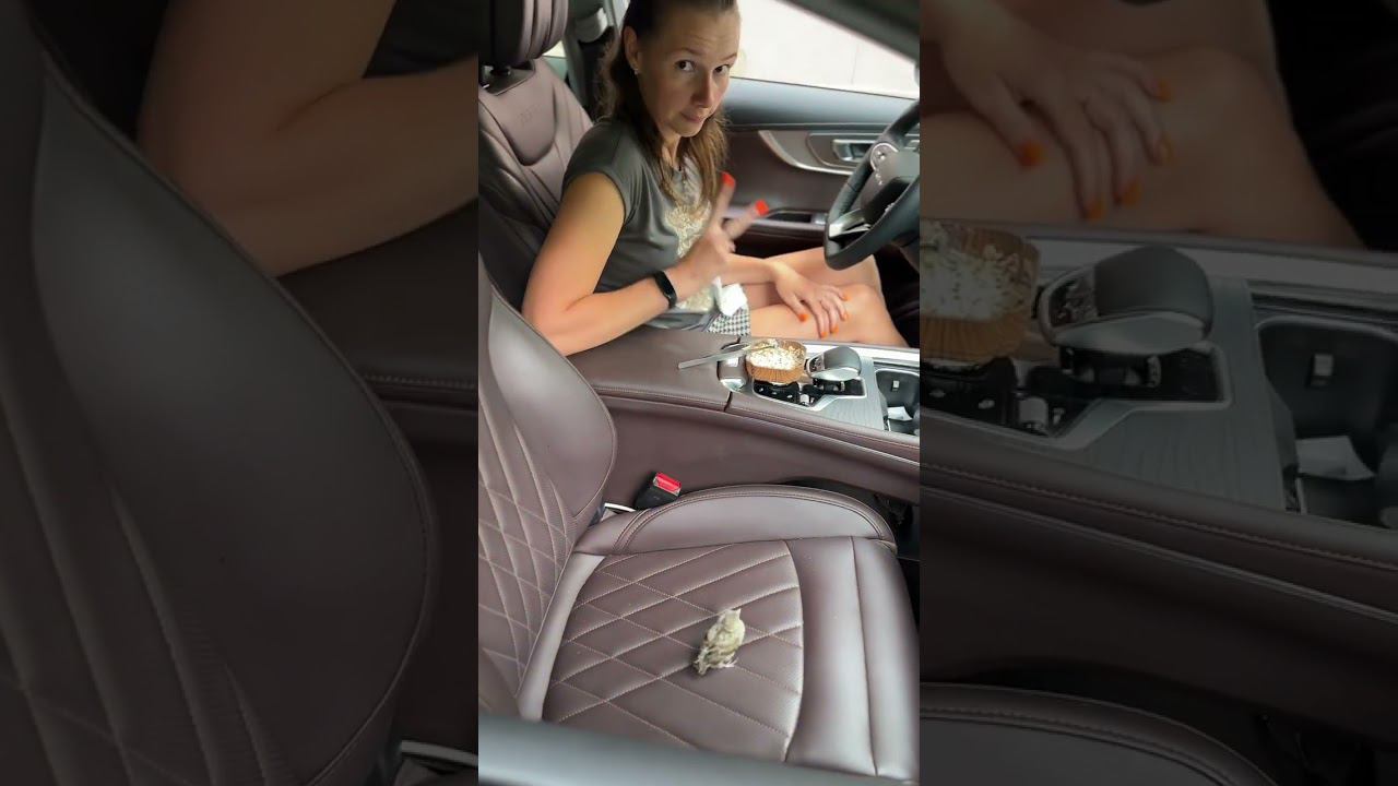 спасли птенца после урагана подробности в комментариях #CHERYemotions @CheryRussia