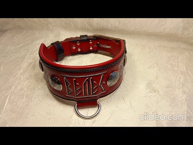 Ошейник для очень серьёзного парня. Американский булли, Велес Изделия из кожи. СКСтиль. Видео обзор.