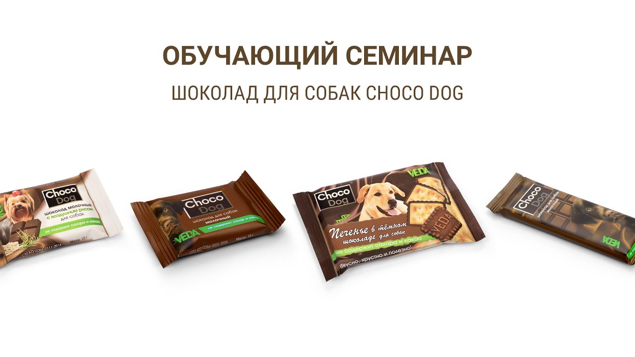 Обучающий семинар 2018 г. - 23 ШОКОЛАД ДЛЯ СОБАК CHOCO DOG