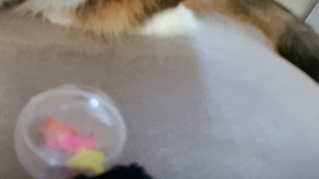 обзор на мои игрушки!!??подпишись)))