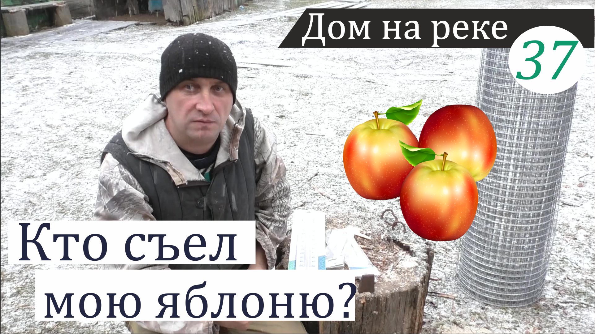 Посадка яблони и цветов в оттепель. Дом на реке, часть 37