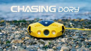 Подводный дрон Dory