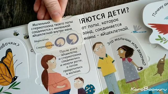 Книга с окошками Откуда берутся дети – смотреть онлайн видео от ...