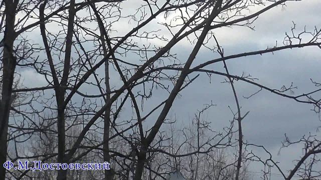 01Сериал "Оккупация", часть 1-я. Введение. Св. отцы, А.Пушкин, Ф.Достоевский