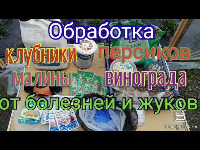 Чем обработать клубнику, виноград, малину от болезней и вредителей. Сезон 2020.