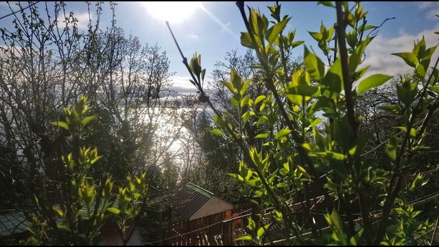 клип весна 2022 на берегу моря - сочи, лазаревское, природа лес цветы .mp4
