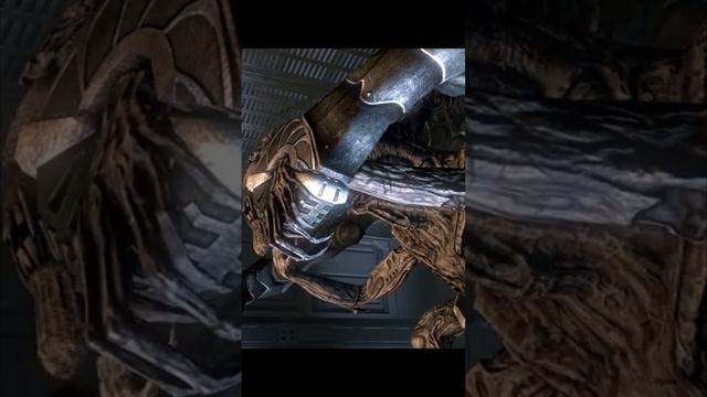 ▶Aliens vs. Predator. Чужой. Королева чужих. #1
