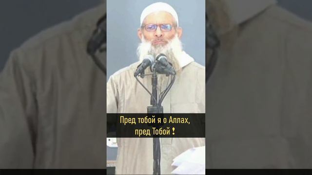 Пред тобой я о Аллах, пред Тобой! | Шейх Раслян