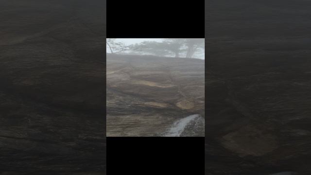Яузлар 1. Исток «Там»
