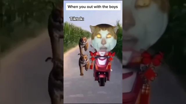 Постарайся не засмеяться #21