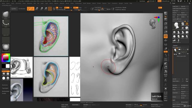 16. Sculpting Ears