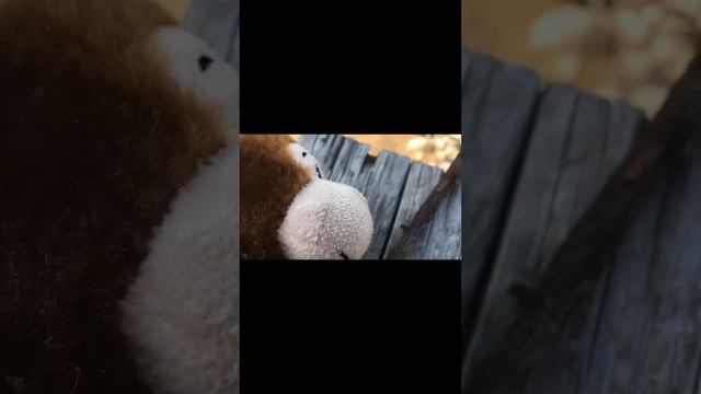 мини-фильм исчезновение|3 серия|конец