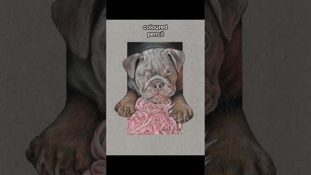 Realistic Pet Portraits | Pencil and Watercolor