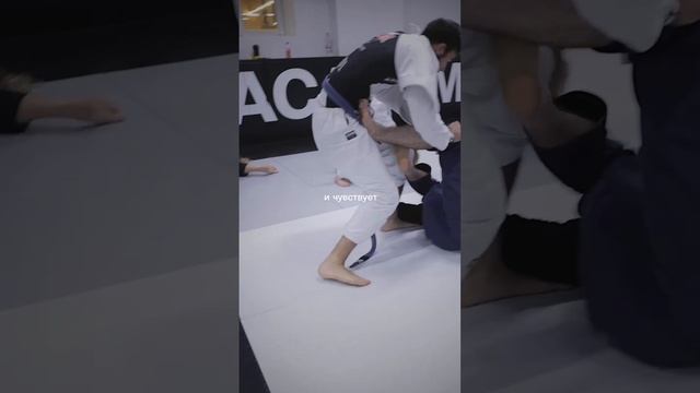VID_20231127_220745_632.mp4.mov