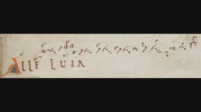 Alleluia Eripe me de inimicis meis