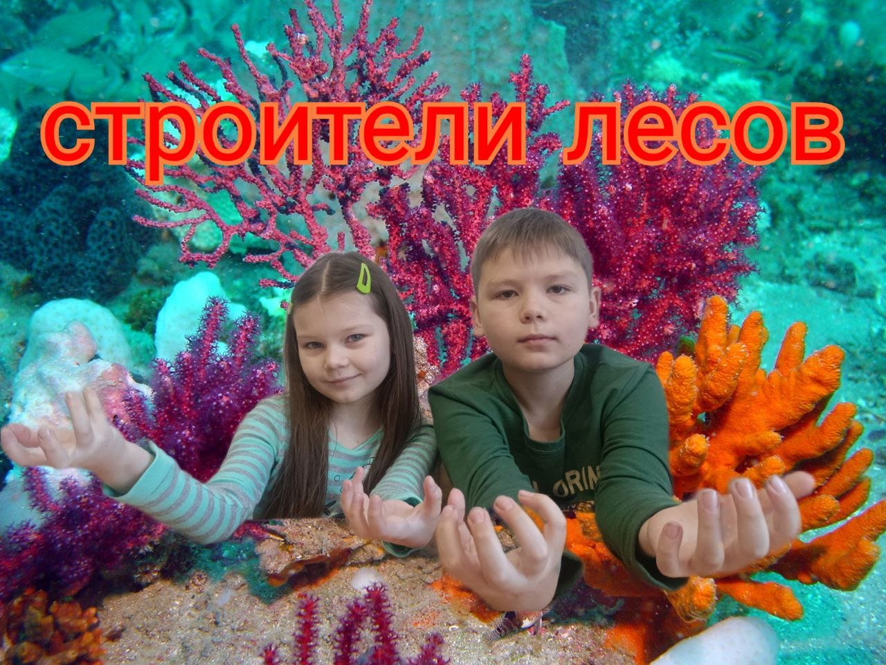 Кораллы
