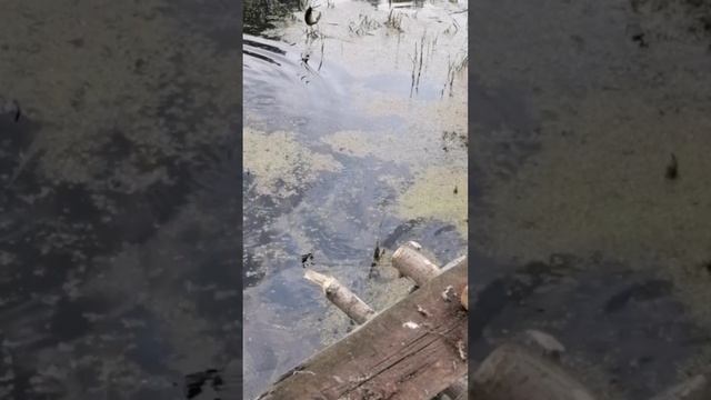 РЫБАЛКА