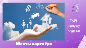 Мечты партнёра