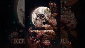 Доброй ночи!