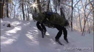 BigDog Overview (Updated March 2010)