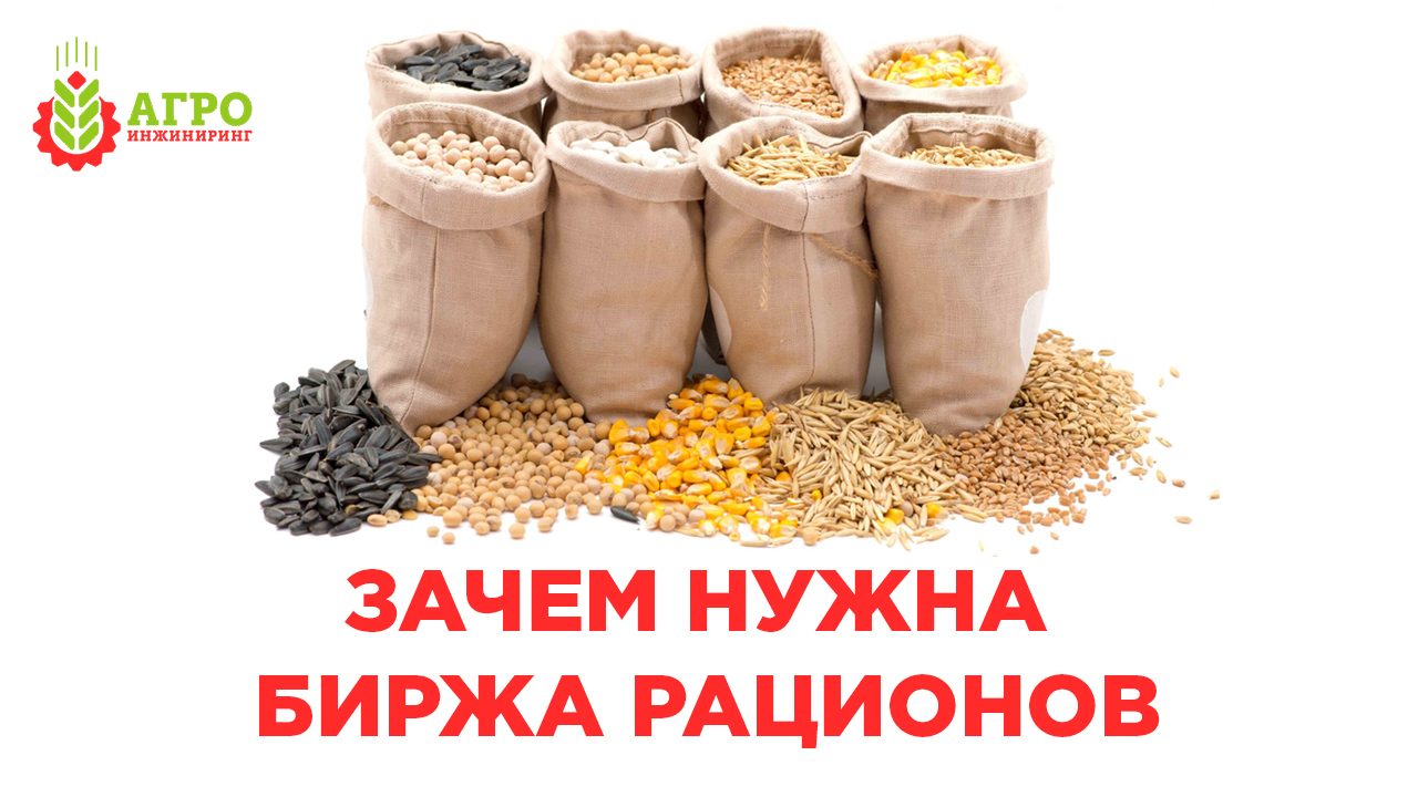 О группе компаний Биржа Рационов.