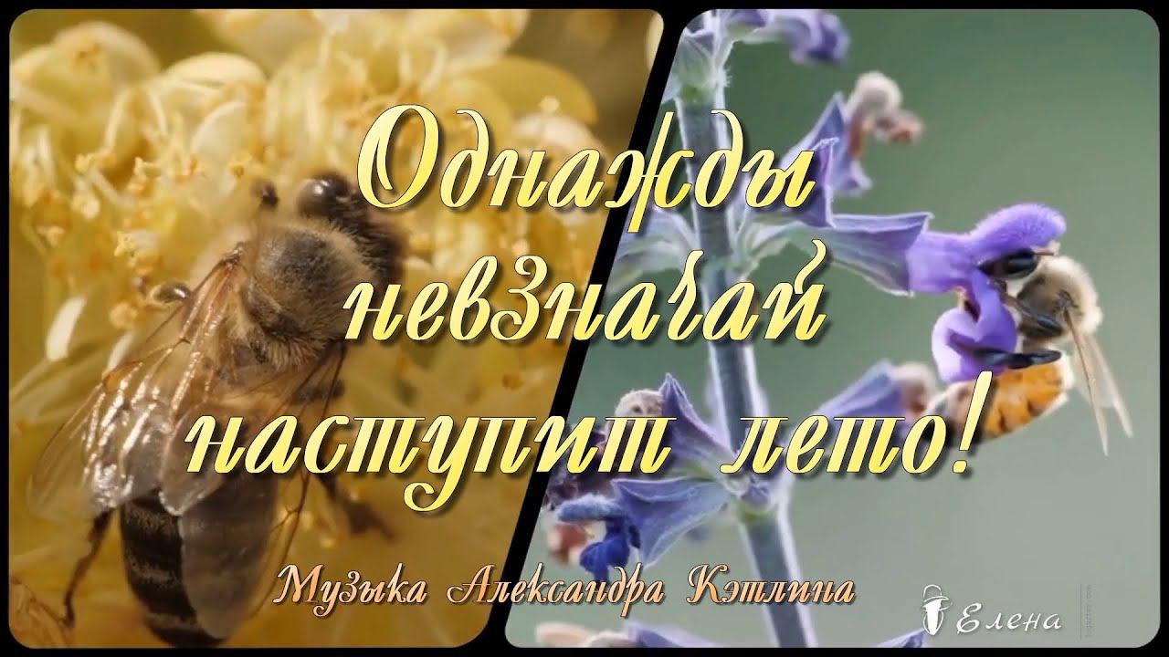 Однажды невзначай наступит ЛЕТО*
