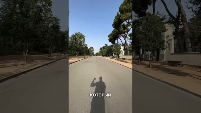 Вот почему утром бегать лучше