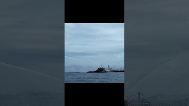 1 мая , танец буксиров. день вмф 2022