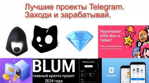 Tomarket - AirDrop 2 сентября. Срочно зайди в игру. Ссылка на нее и на топ игры в описании!!!