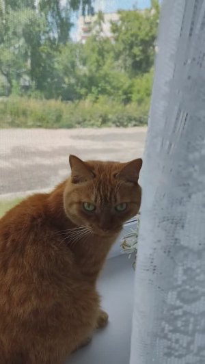 С Филей не скучно