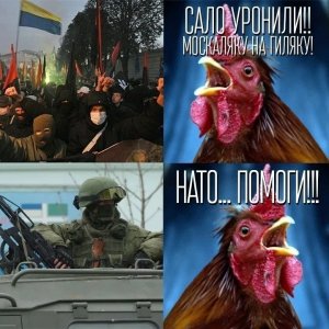 Об СВО коротко