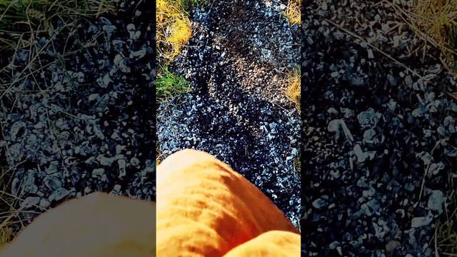 Купальское утро, углихождение. #роднаядуша #велезаръ #shorts