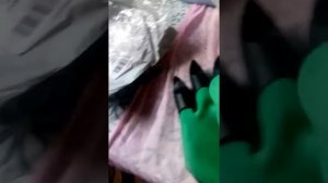 Еще раз убедилась, что наша почта  работает безобразно !