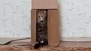 зашёл в лифт?
