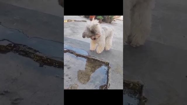 А кто здесь такой красавчик )))