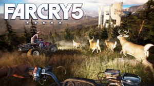 Test FPS в игре Far Cry 5 | Видеокарта NVidia GTX 1060 6gb | Процессор Intel Core i7-8700