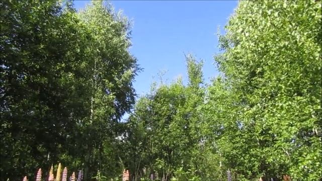 Юдит Бенье. Шўмбел элем.-Аркадий Букетов кусарен.Тиде почеламутым лудмеке олыкыш логалат...