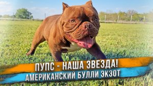 Пупс - красавец или чудовище?