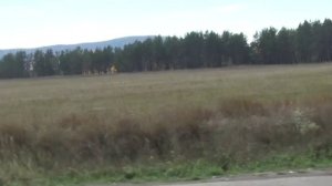 Автотуризм. Выпуск № 14