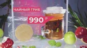 Чайный гриб | Комбуча