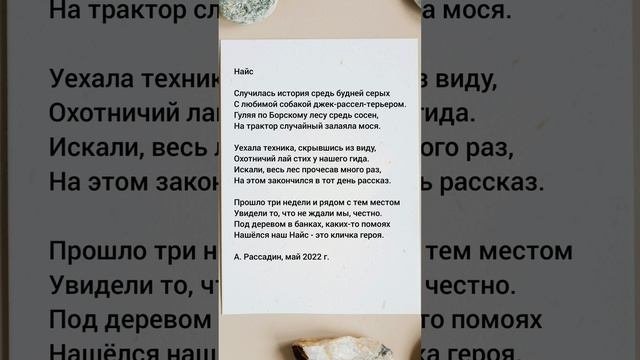 Найс