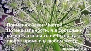 День 8. Марафон Изобилия. 21 день Изобилия. Дипак Чопра