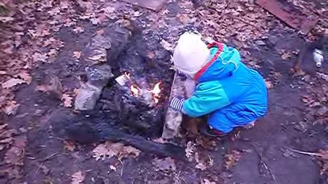 сырецкий лес осень 2012