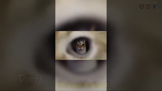 Тяжёлая жизнь вора катжита