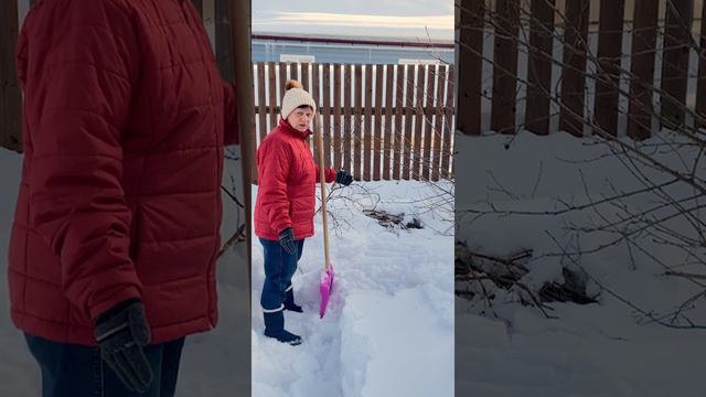Зимние работы в саду