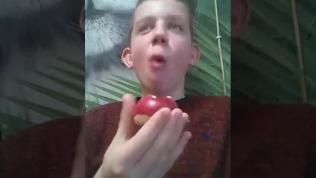Я ем яблоко