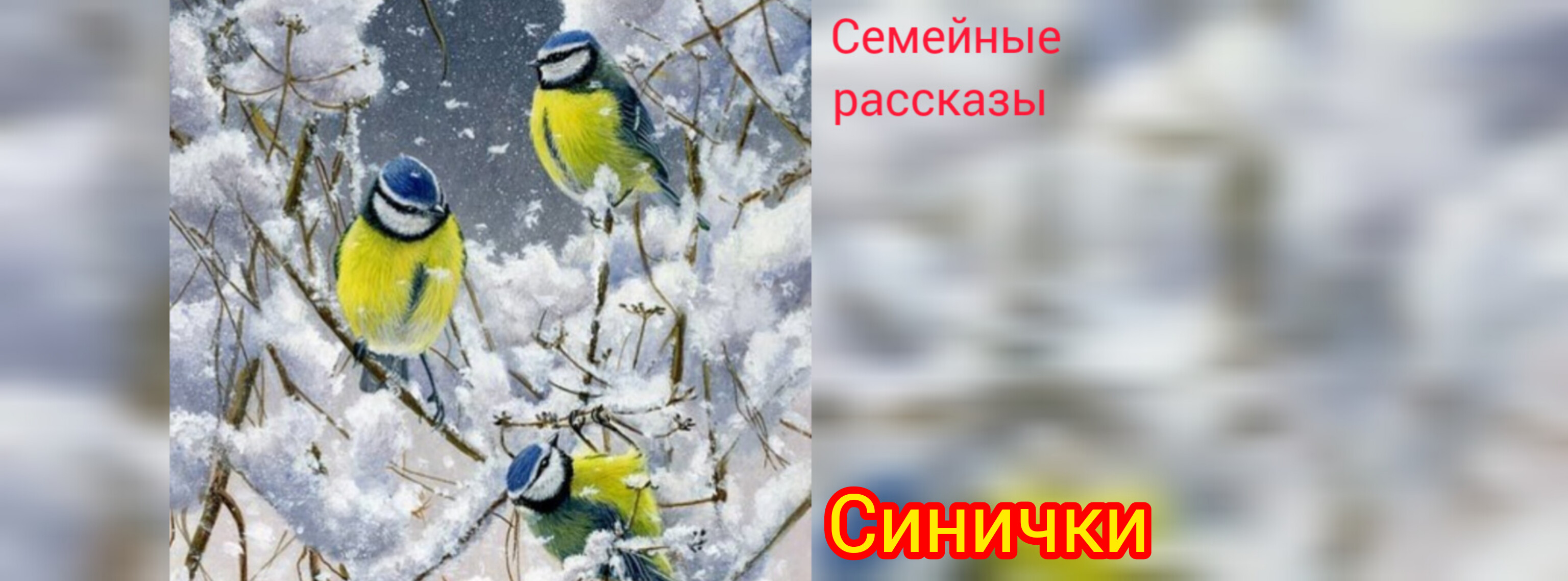 Синички.
