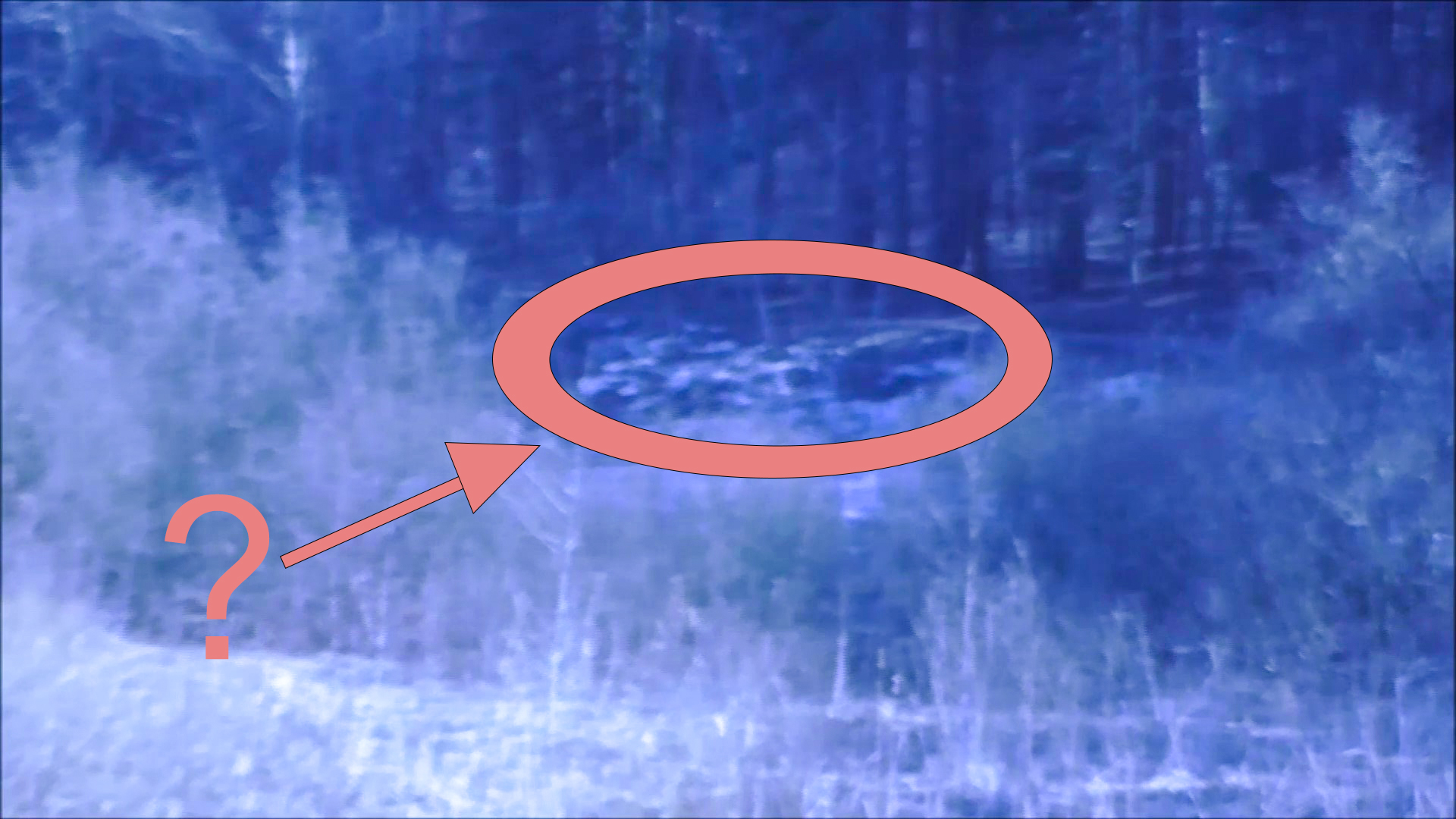 Тайна Имурова леса