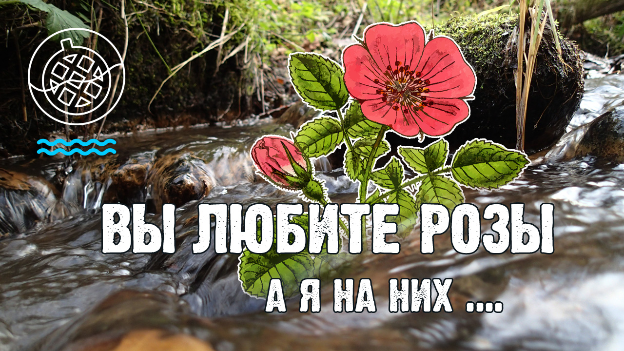 Наследие царского режима