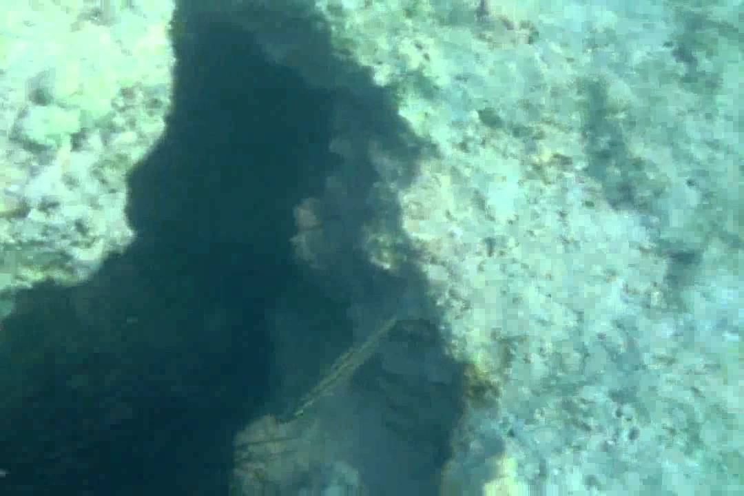 PIC 1084 DIVX 720p